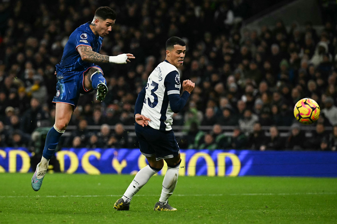 Enzo Fernandez | Profile | Official Site | Chelsea Football Club